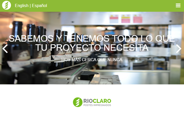 Sara Castillo Arenas